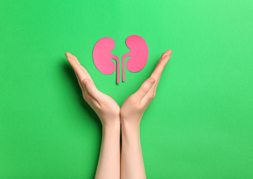 Urea vs Uric Acid - Clearing Up The Confusion - Approved Science Blog